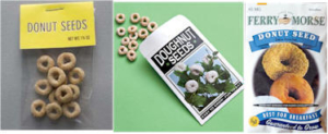 DIY - Doughnut Seed fundraiser!